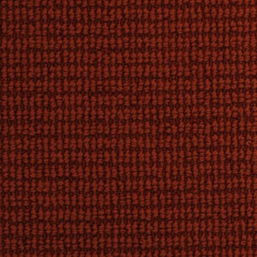 Night & Day in Berry Fizz Carpet — Levis4Floors