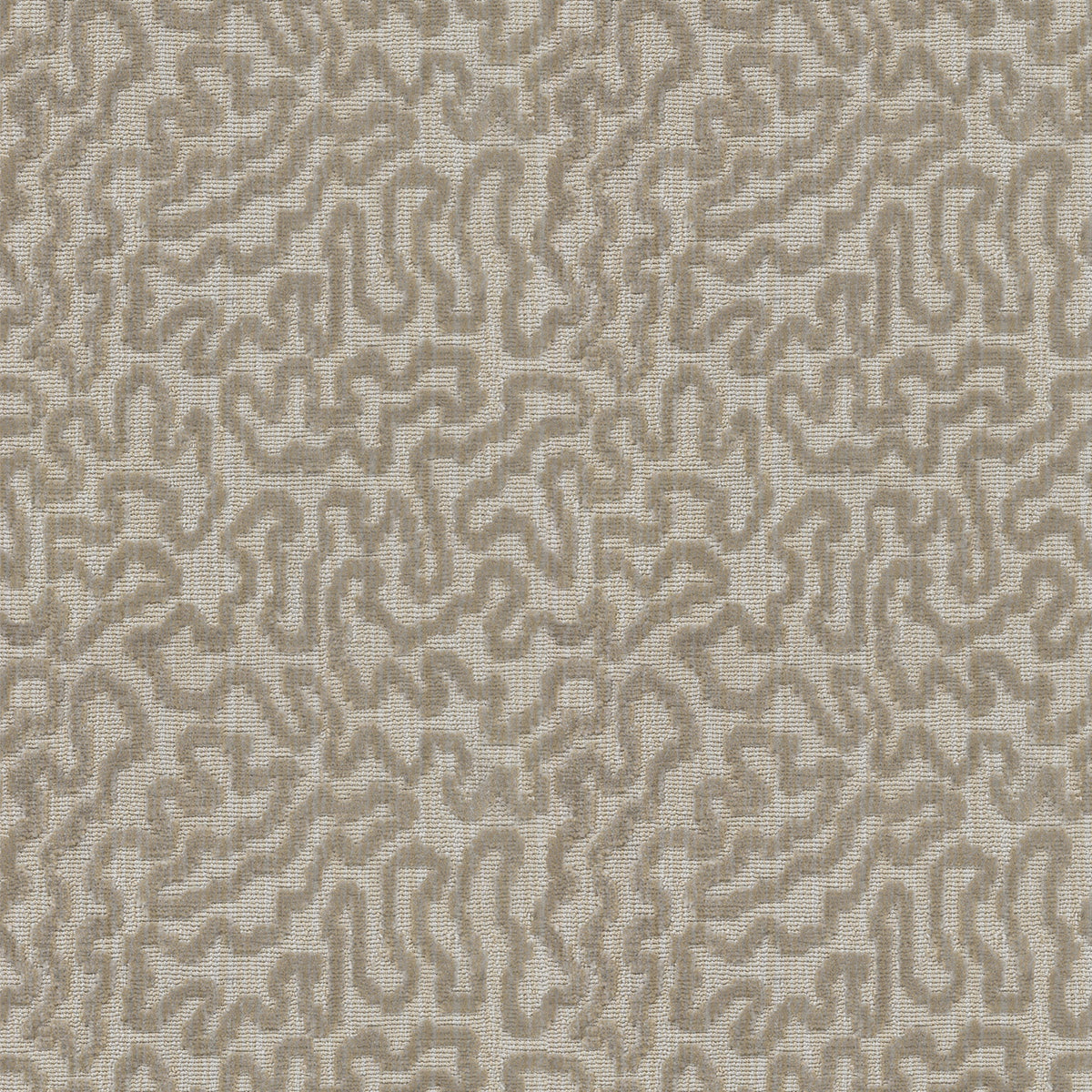 Celebration in Antiquity Carpet — Levis4Floors