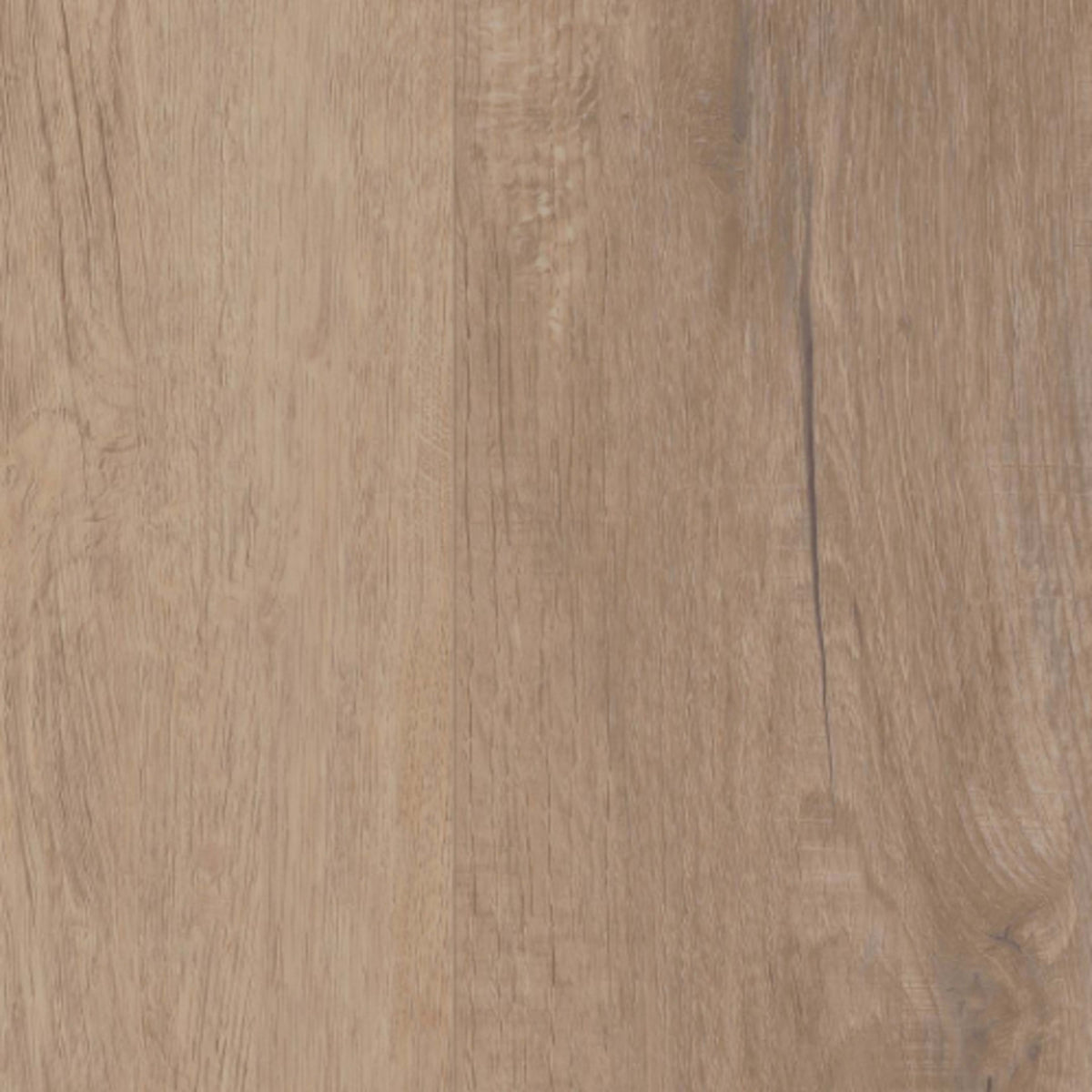 COREtec Premium in Grande Goldin Oak Luxury Vinyl — Levis4Floors