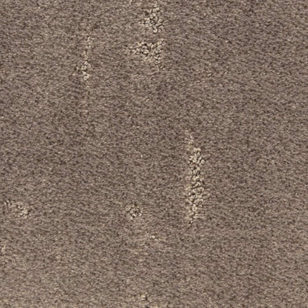Imperial Point in Bishop Pass Carpet — Levis4Floors