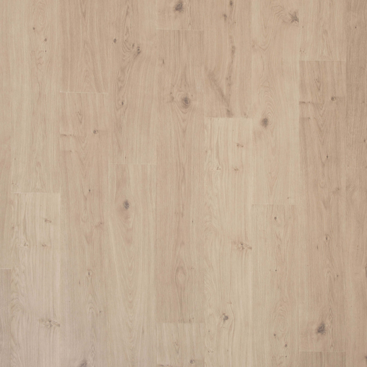 Transom in Monument Grey Oak | Pergo Elements — Levis4Floors