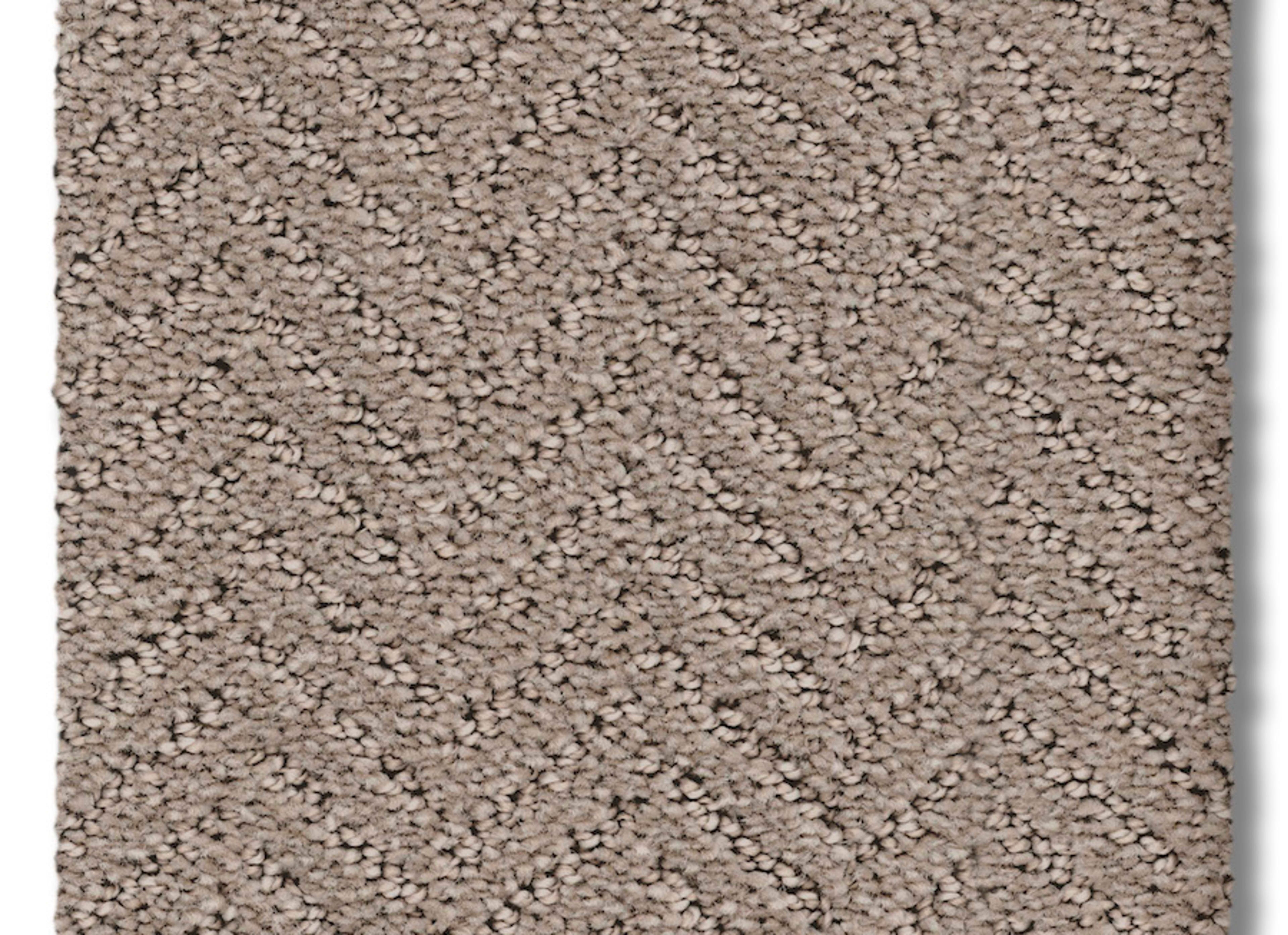 Tahiti in Trendy Carpet — Levis4Floors