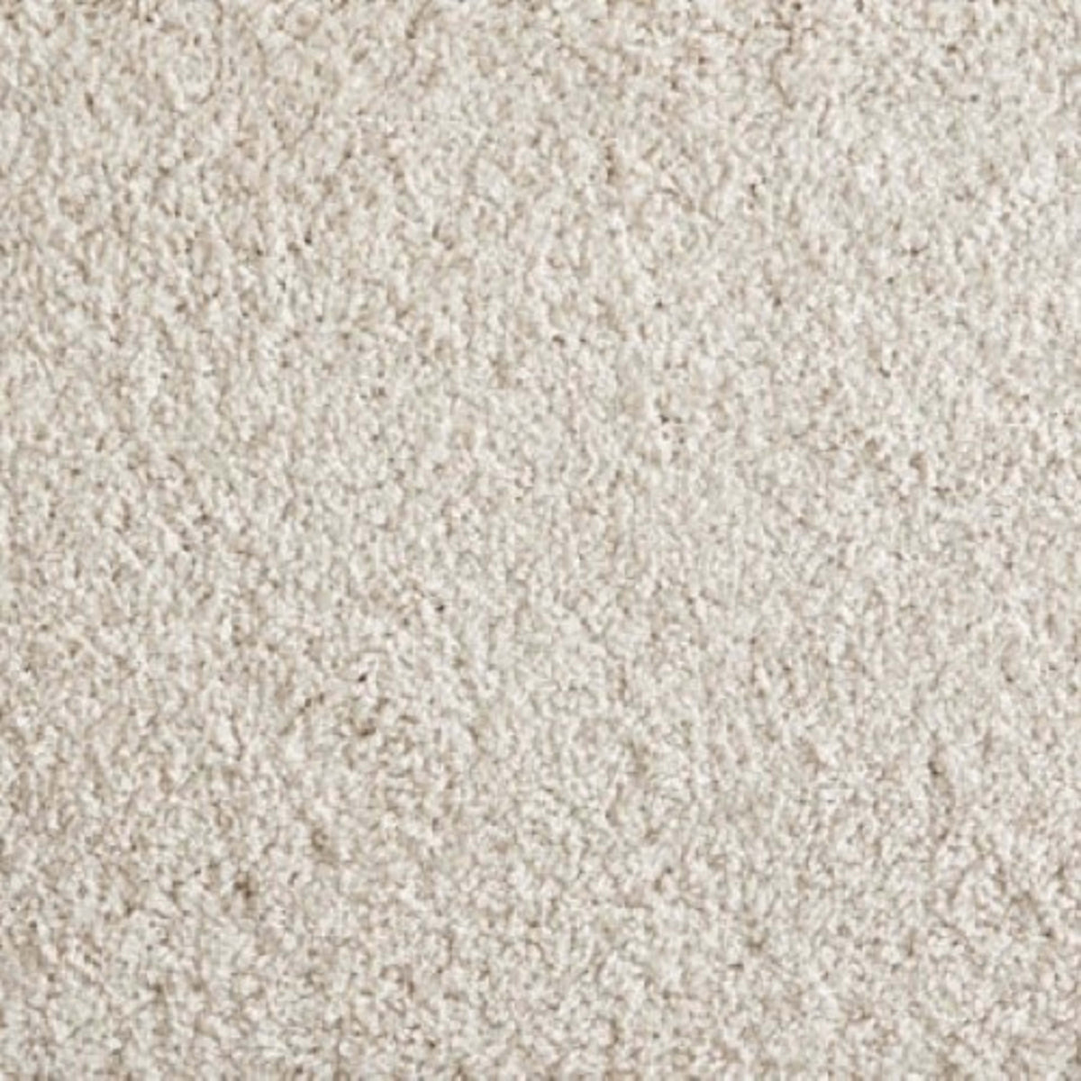 Shaggy Superstar in Bone Carpet — Levis4Floors