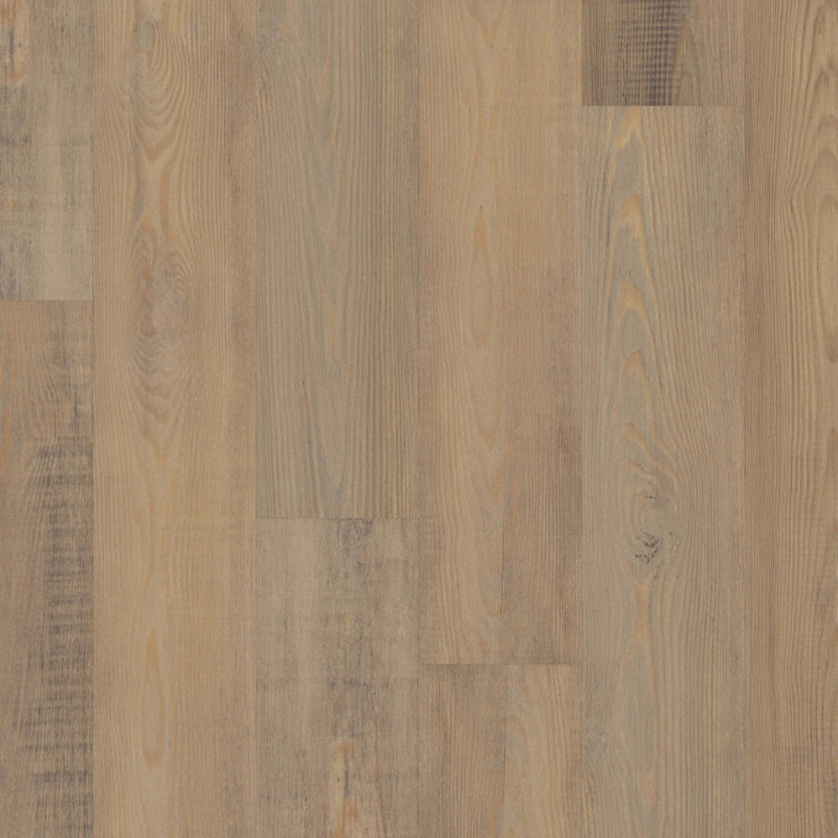 COREtec Scratchless in Privet Pine Luxury Vinyl — Levis4Floors